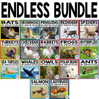Animal Studies: Endless Bundle - A Dab of Glue Will Do