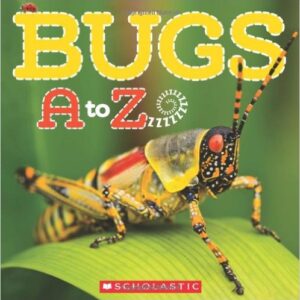 12 bug and insect books for little kids