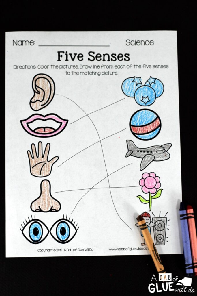 No Prep Kindergarten Summer Review Packet