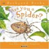 12 Spider Books for Little Learners