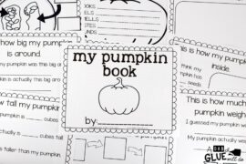 Pumpkin Bundle