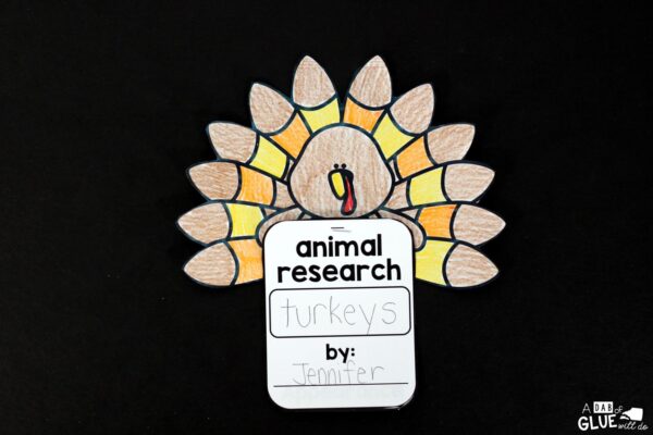 Turkeys: An Animal Study