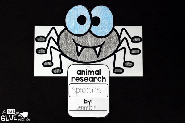 Spiders: An Animal Study