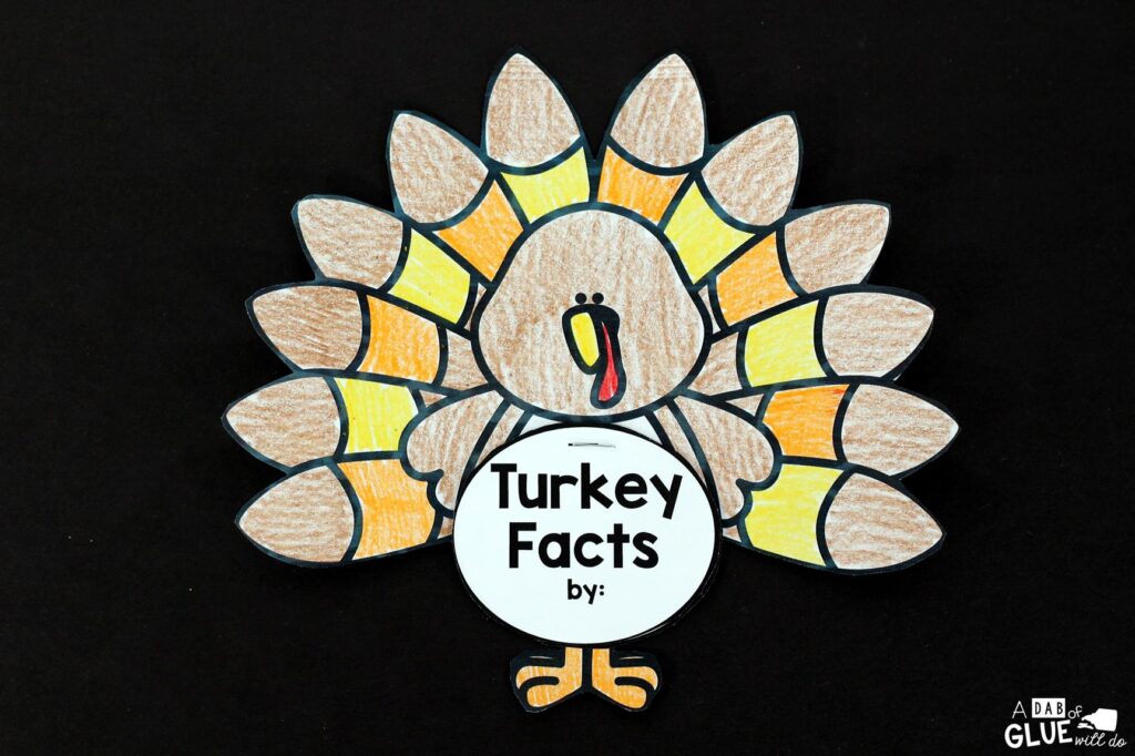 Turkeys: An Animal Study