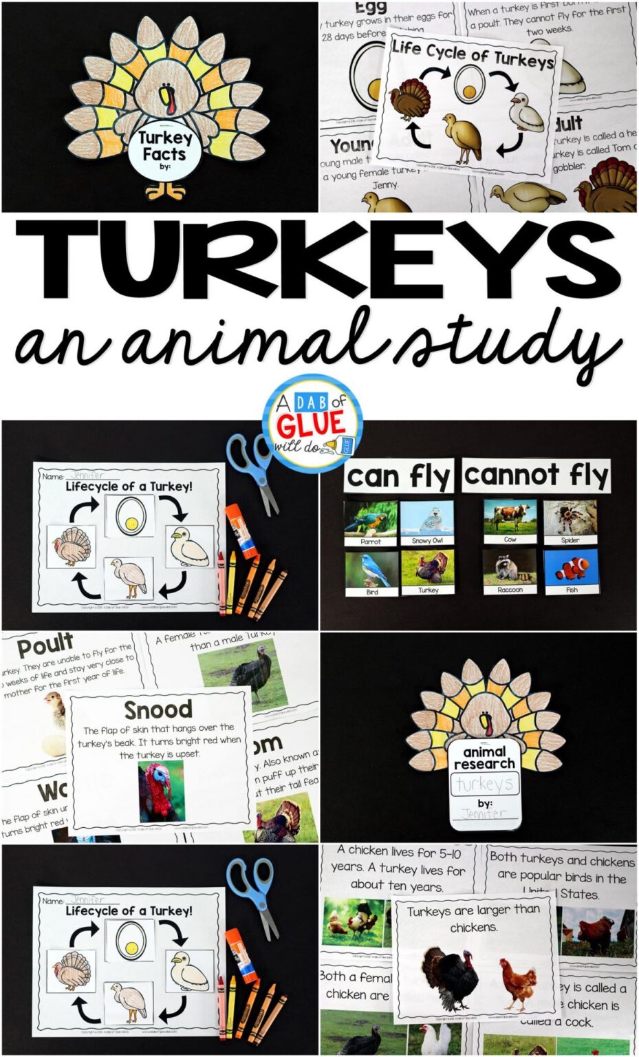 Turkeys: An Animal Study