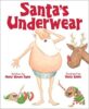 12 Santa Books for Little Learners