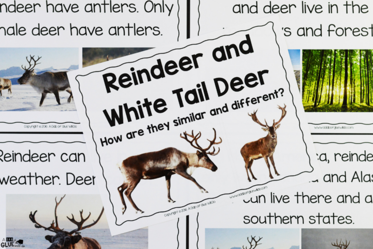Reindeer Facts : An Animal Study - A Dab of Glue Will Do