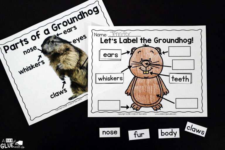Groundhog Facts Animal Study