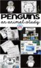 Penguins: An Animal Study