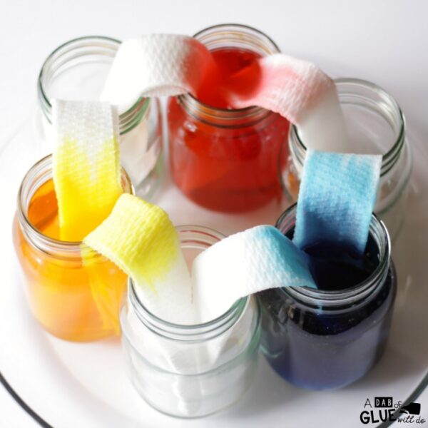 Walking Water Science Activity for Kids