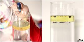 Oil and Water Science Activity