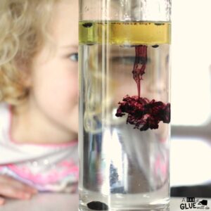 Oil and Water Science Activity