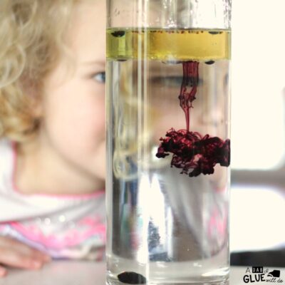 Oil and Water Science Activity