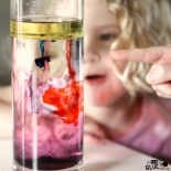 Oil and Water Science Activity
