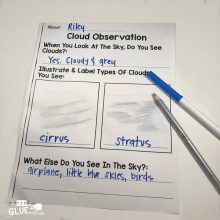 All About Clouds Activity & Freebie