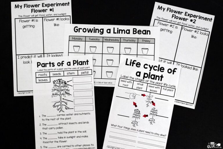 Plants Unit (PowerPoint, Lessons, Printables)