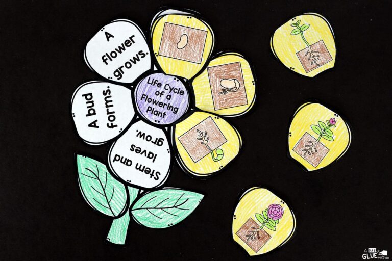 Flowering Plant Life Cycle Craftivity