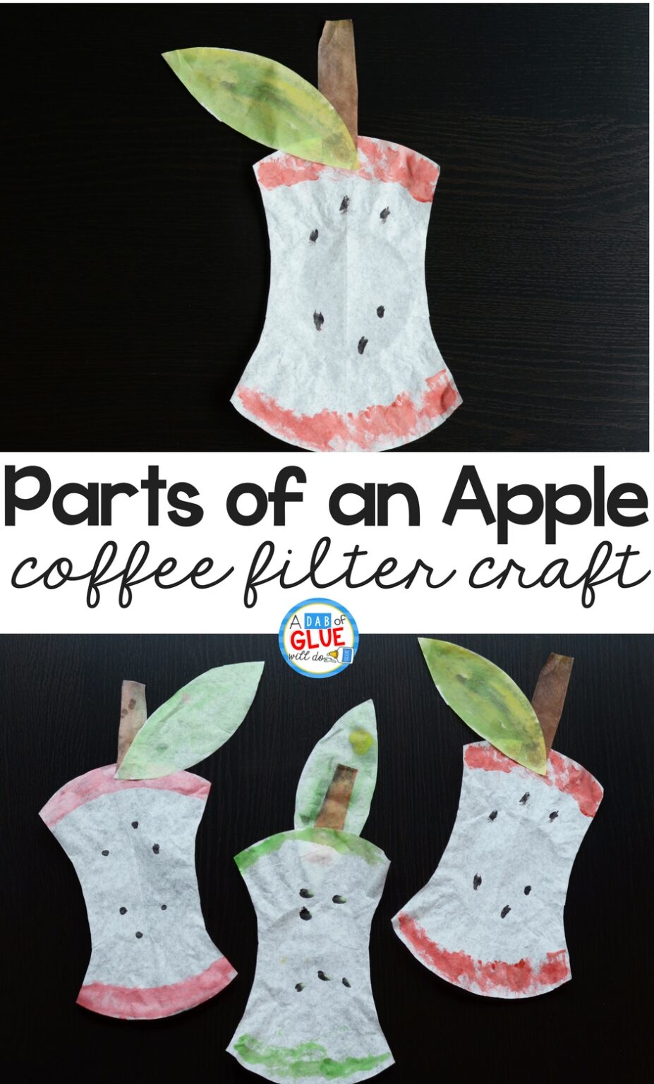 Parts of an Apple Coffee Filter Craft