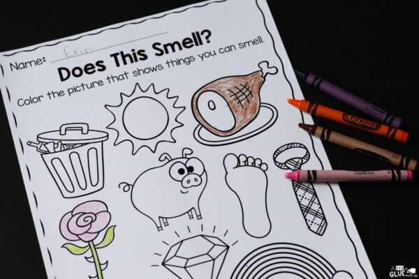 Five Senses Science Unit Hands-on Learning Activity