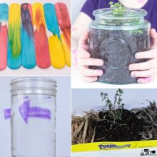 Hands-on April Science Experiments connecting spring with science