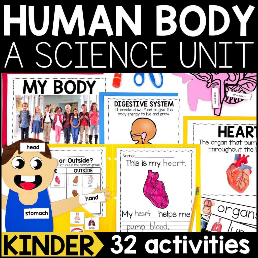My Body Science Unit for Kindergarten - A Dab of Glue Will Do