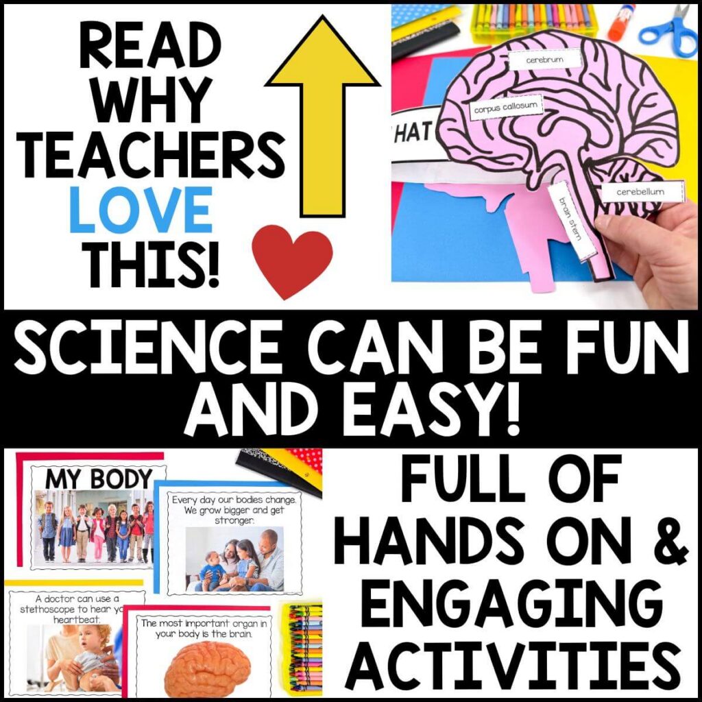My Body Science Unit for Kindergarten - A Dab of Glue Will Do