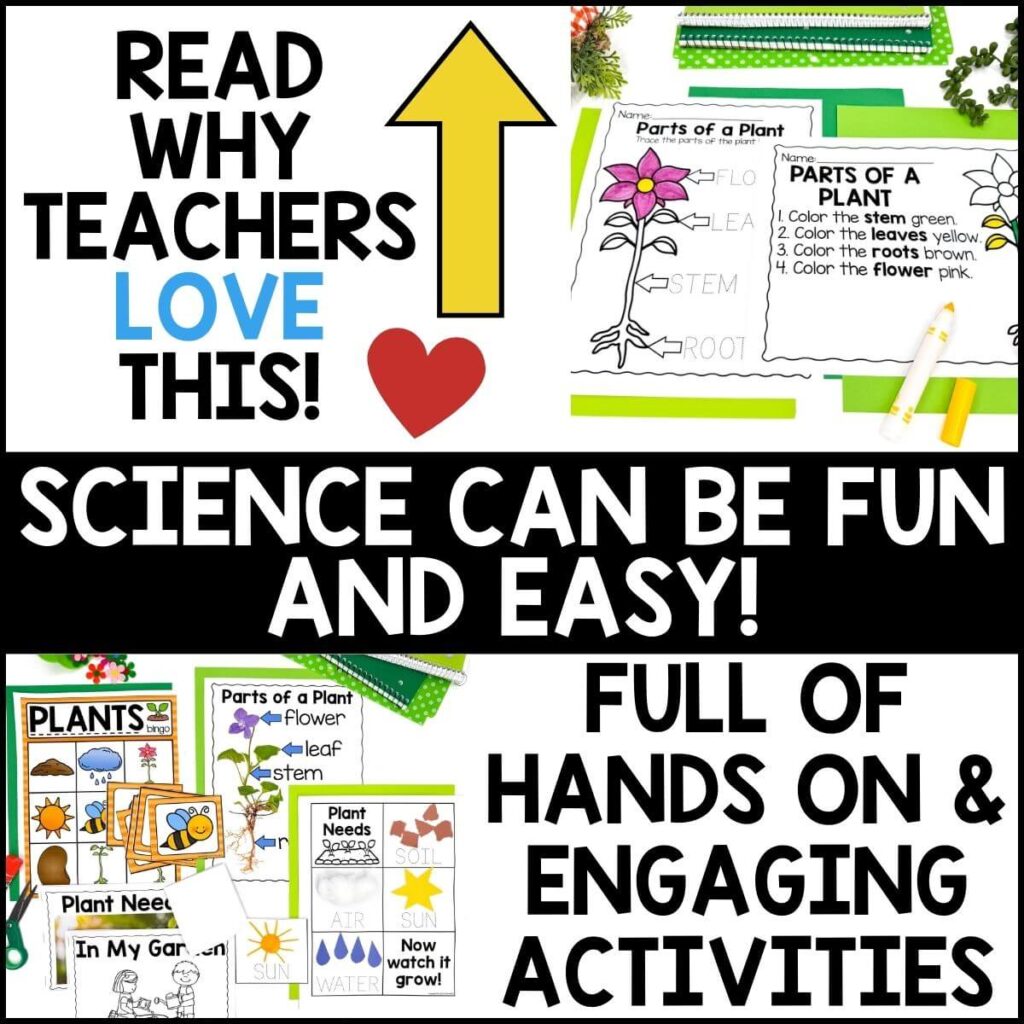 Plants Unit for Pre-K - A Dab of Glue Will Do