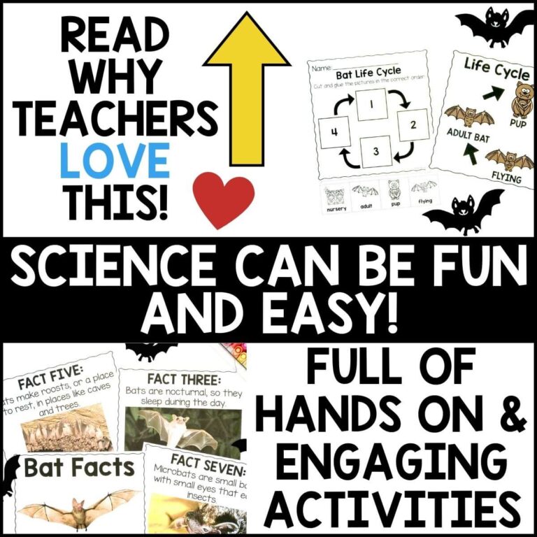 Bats Animal Study for Kindergarten - A Dab of Glue Will Do