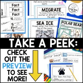 Polar Bear Animal Study for Kindergarten - A Dab of Glue Will Do