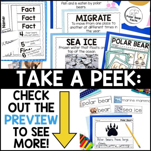Polar Bear Animal Study for Kindergarten - A Dab of Glue Will Do