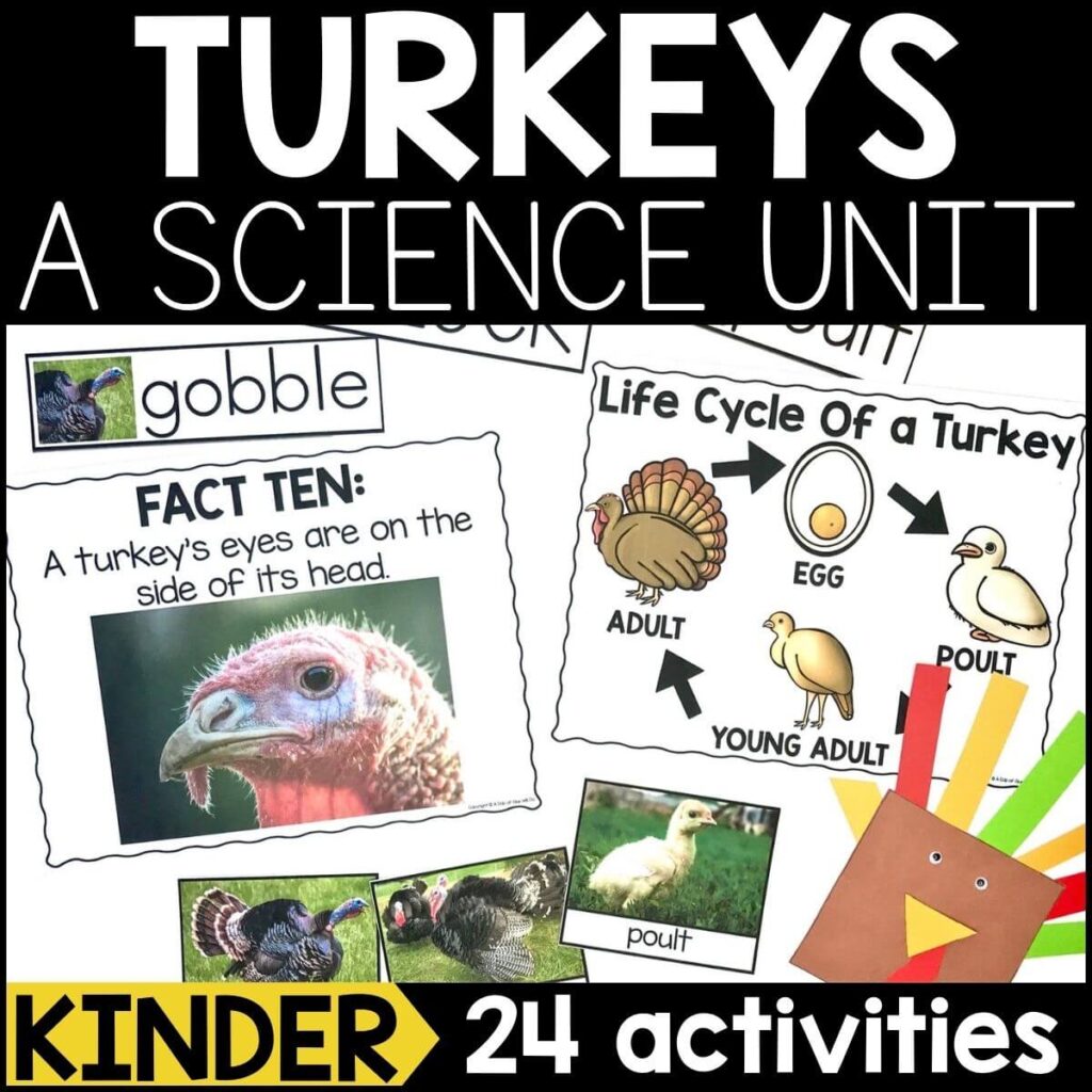 How To Make A Paper Bag Turkey Craft for Thanksgiving