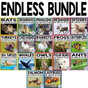 Animal Studies: Endless Bundle - A Dab of Glue Will Do