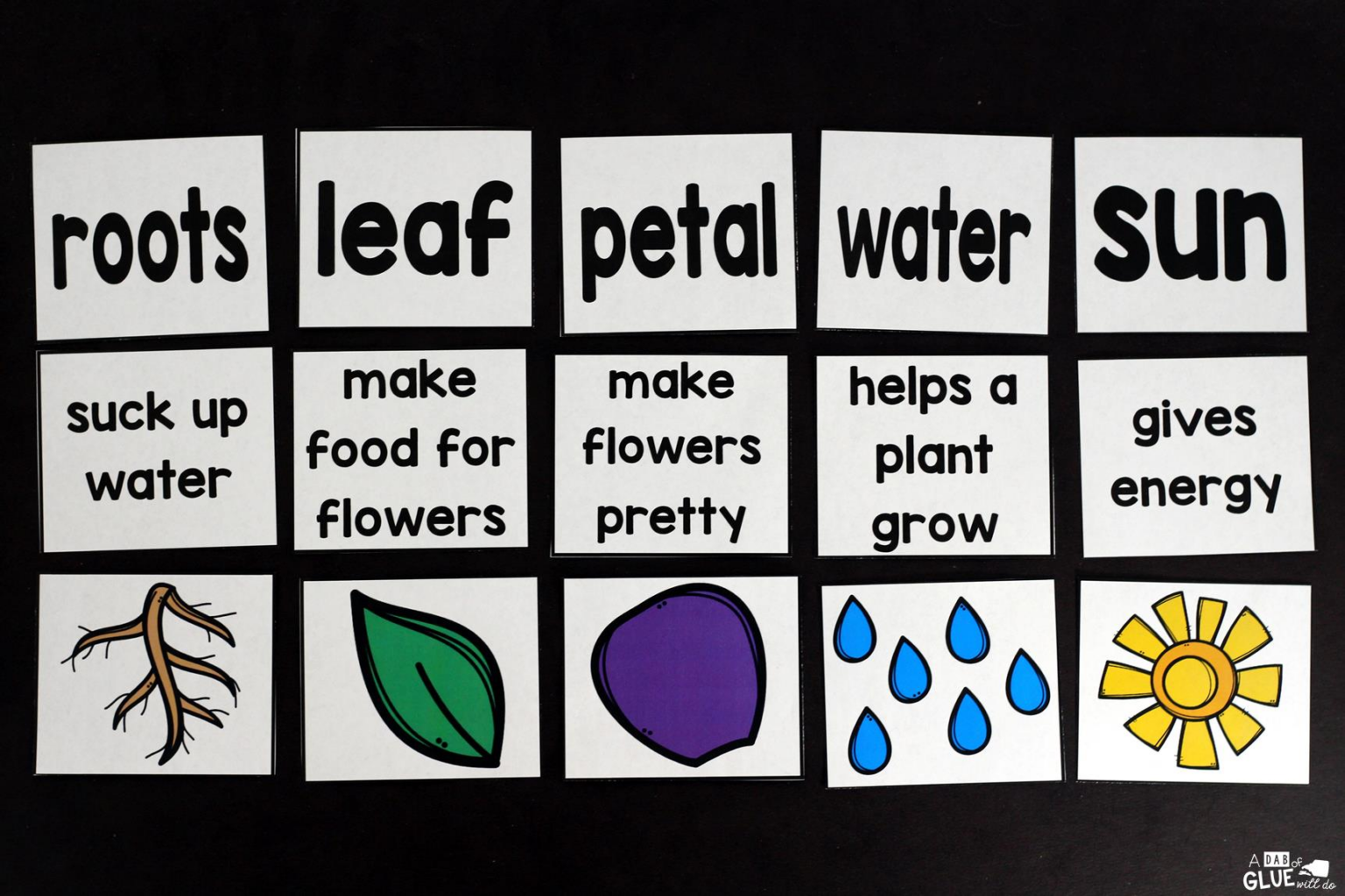 Endless Science Mega {Growing} Bundle (Sale) - A Dab of Glue Will Do