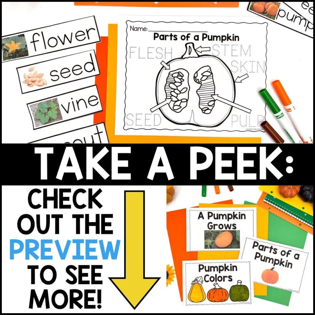 Pumpkins Science Unit for Pre-K - A Dab of Glue Will Do