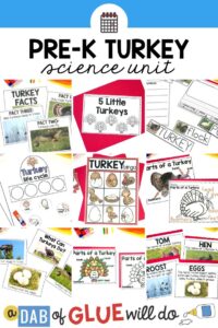 Pre-K Turkey Science Unit: Animal Study