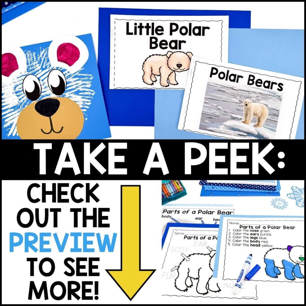 Polar Bear Animal Study for Pre-K - A Dab of Glue Will Do