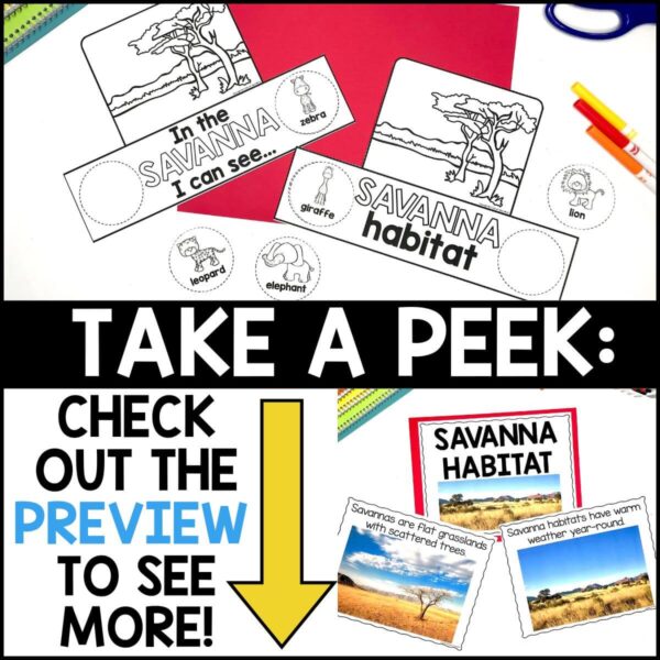 Savanna Habitat for PreK - A Dab of Glue Will Do
