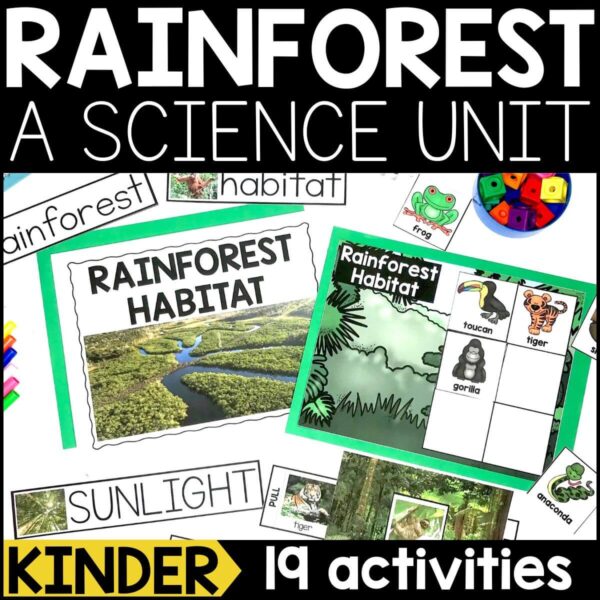 Rainforest Habitat for Kindergarten - A Dab of Glue Will Do