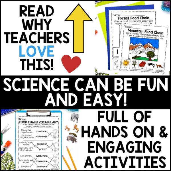 Food Chains Science Unit for First Grade - A Dab of Glue Will Do