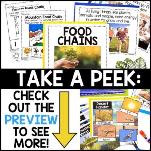 Food Chains Science Unit for First Grade - A Dab of Glue Will Do