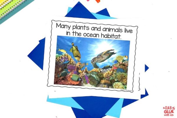 Pre-K Ocean Habitat Science Unit - A Dab of Glue Will Do