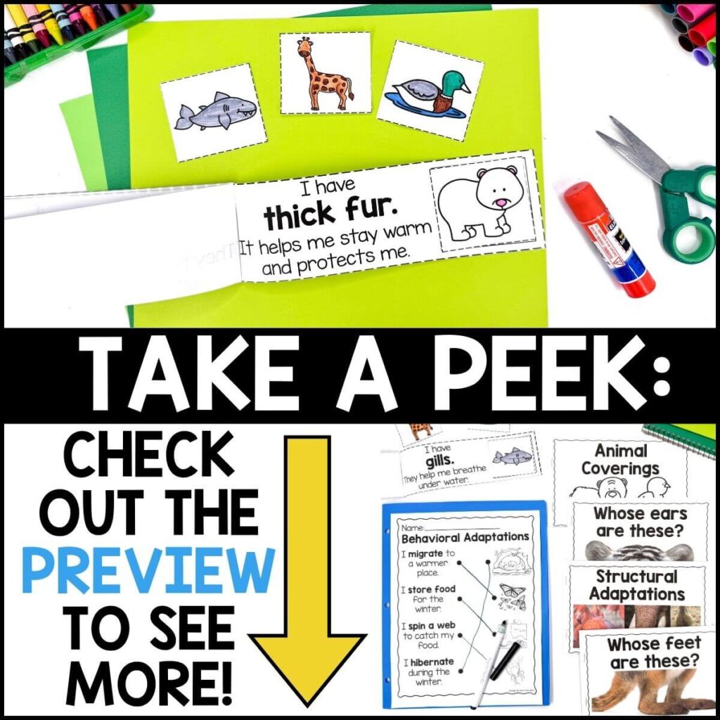 Animal Adaptations Science Unit for Pre-K - A Dab of Glue Will Do