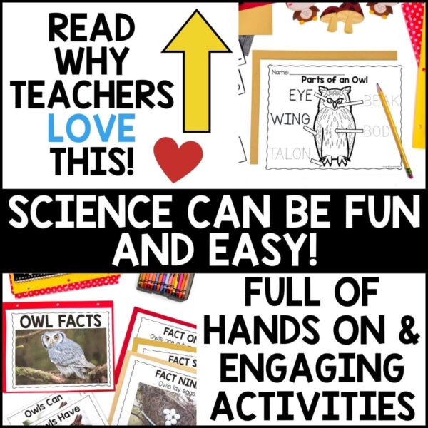 Owls Science Unit for Pre-K - A Dab of Glue Will Do