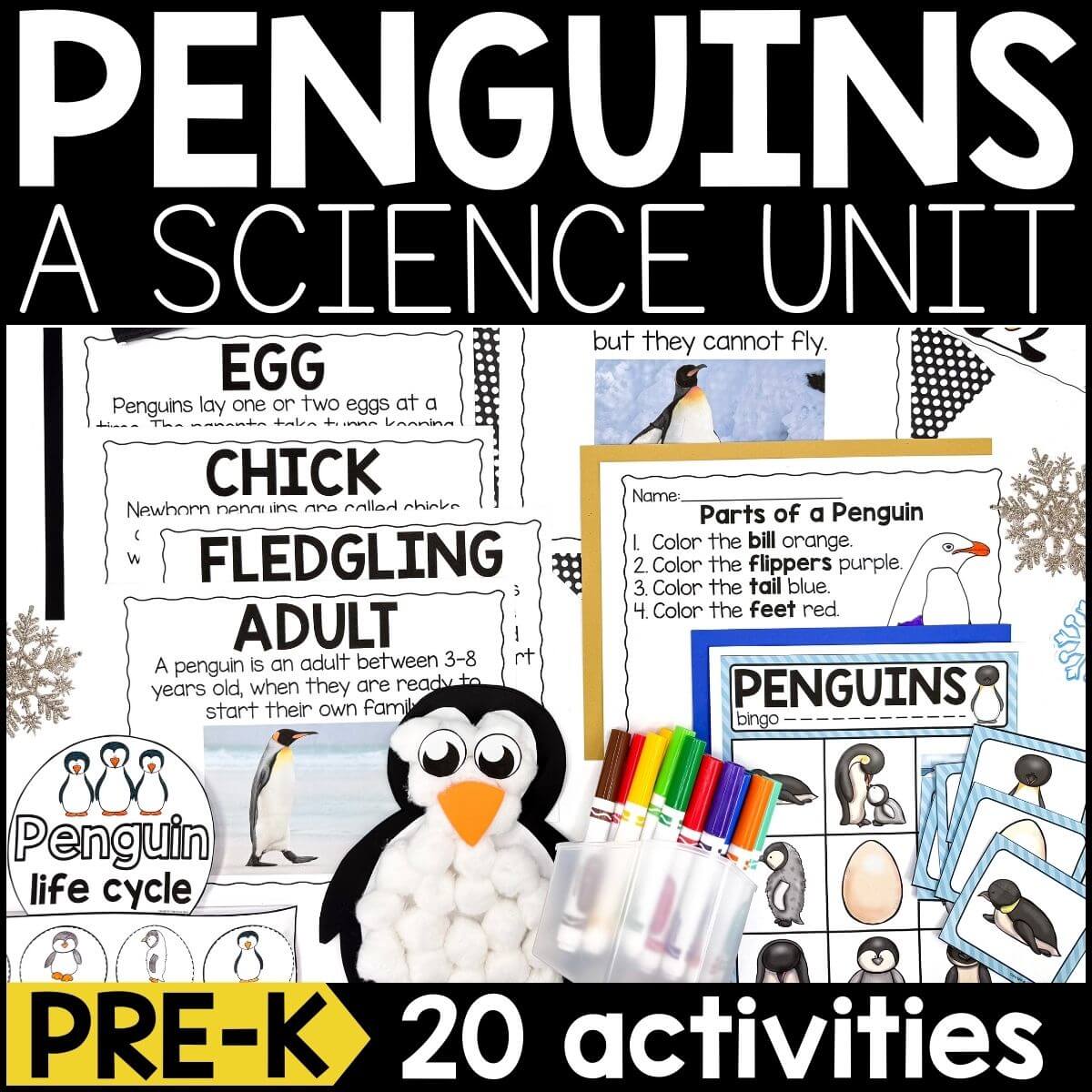 Penguin Animal Study for Pre-K - A Dab of Glue Will Do